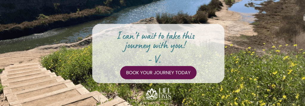 Life Between Lives Soul Journeys